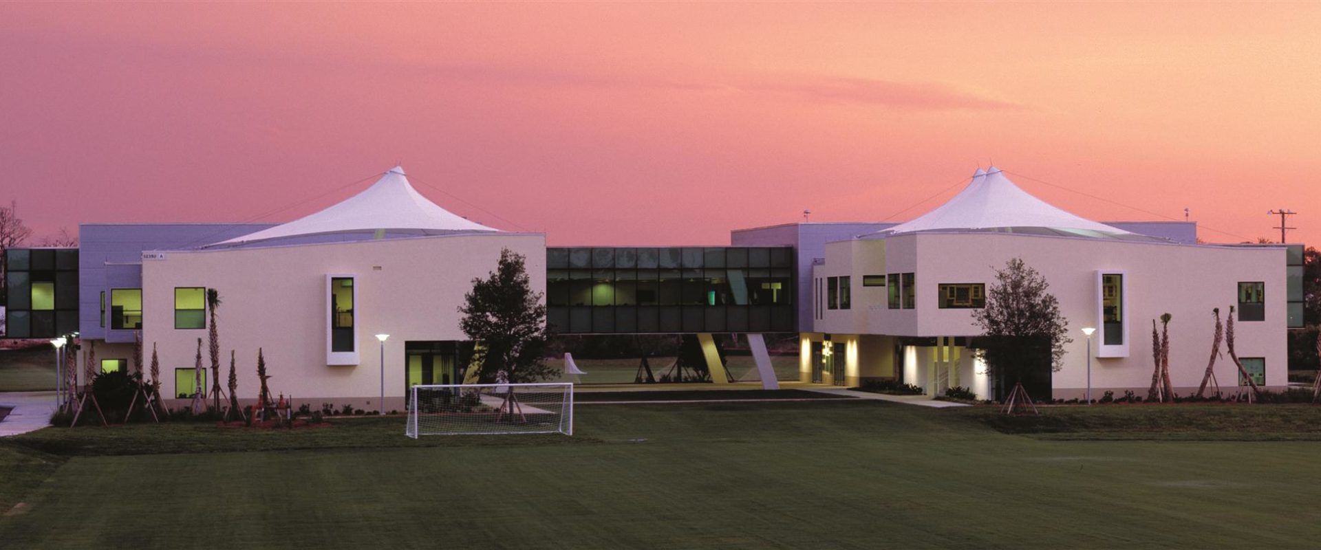 The Pine School - Weitz