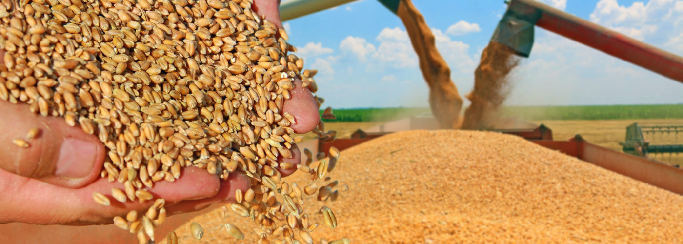 Top Trends in the Grain Industry - Weitz